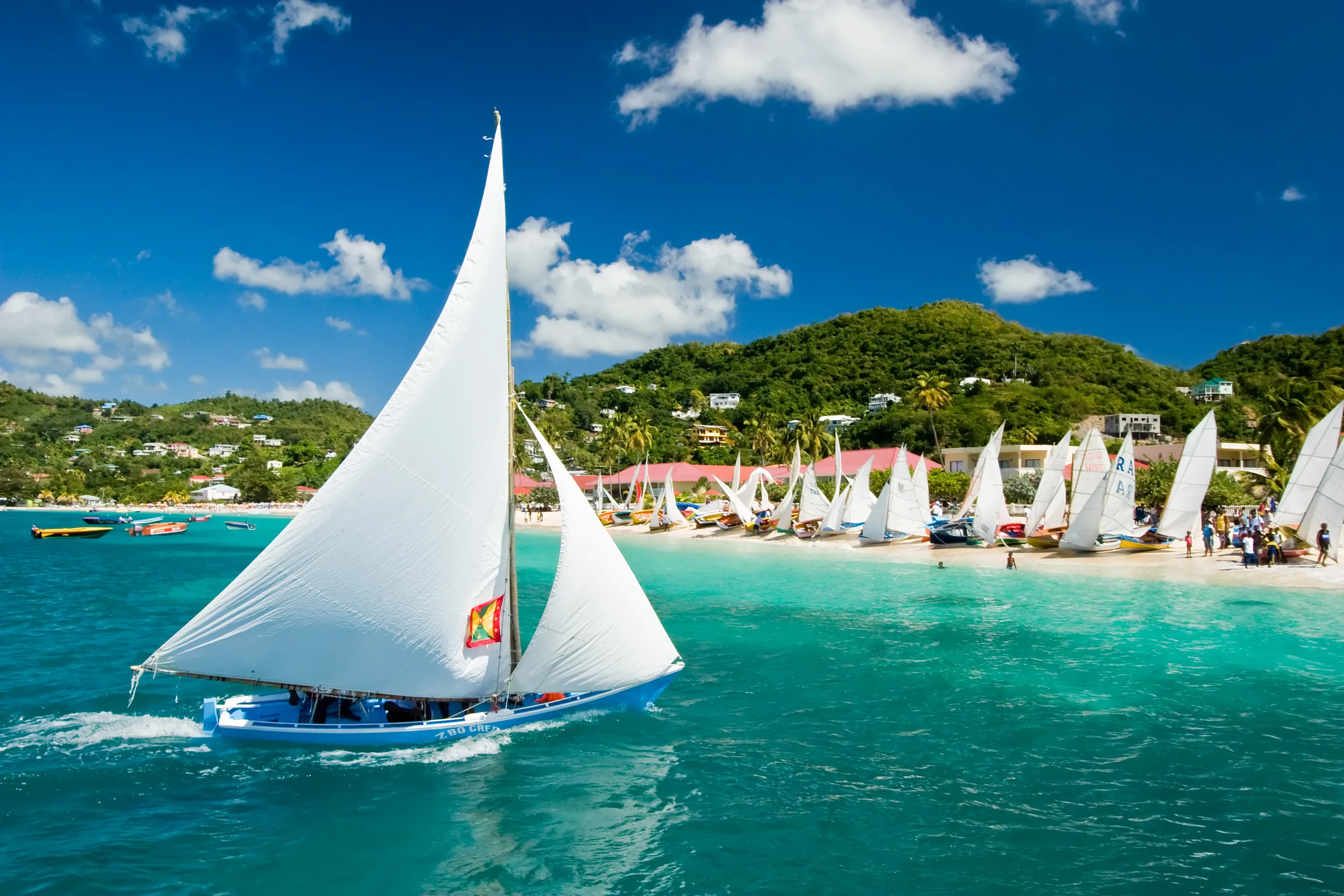 Rising to New Heights: Grenada's Program Surges - Citizens International